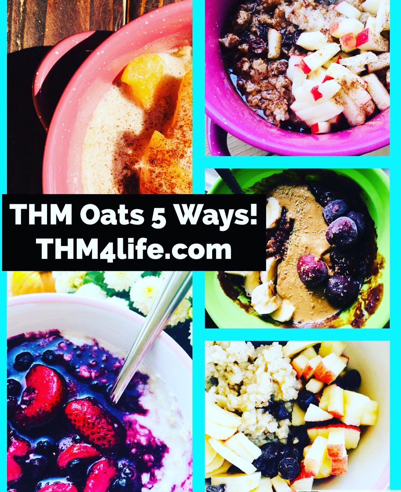 THM4LIFE - Trim Healthy Mama Health & Wellness